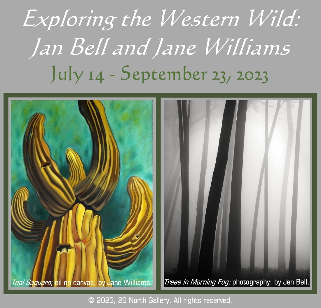 Coming Soon: “Exploring the Western Wild: Jan Bell and Jane Williams ...